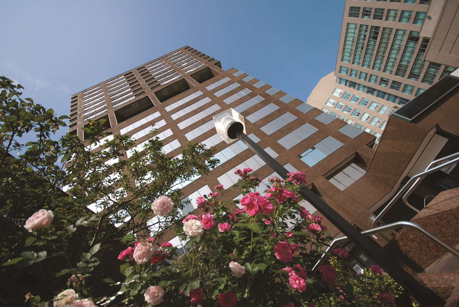 ILAC トロント校 | 海外留学するならGO留学！